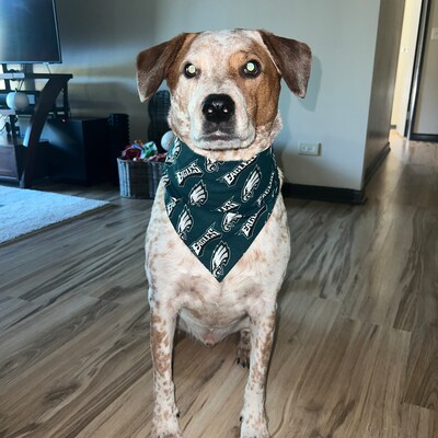 Small 9x12 Snuffle Mat Rooting Rug Canine Pet Dog Pig Rabbit - Etsy