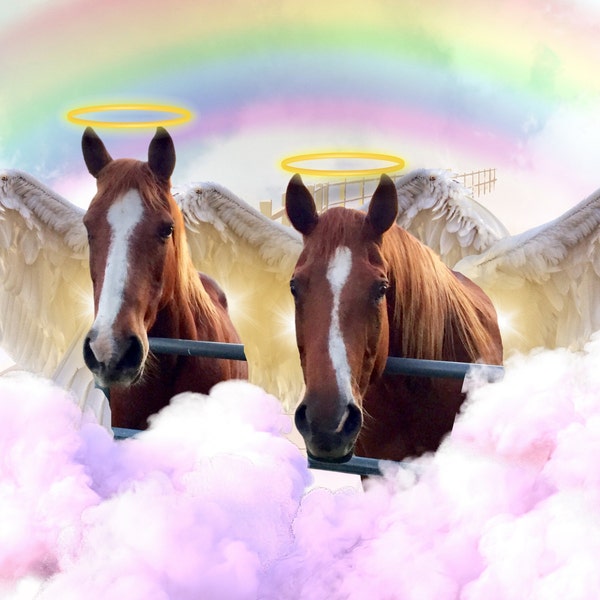 Custom Rainbow Bridge Pet Memorial Photo - Etsy