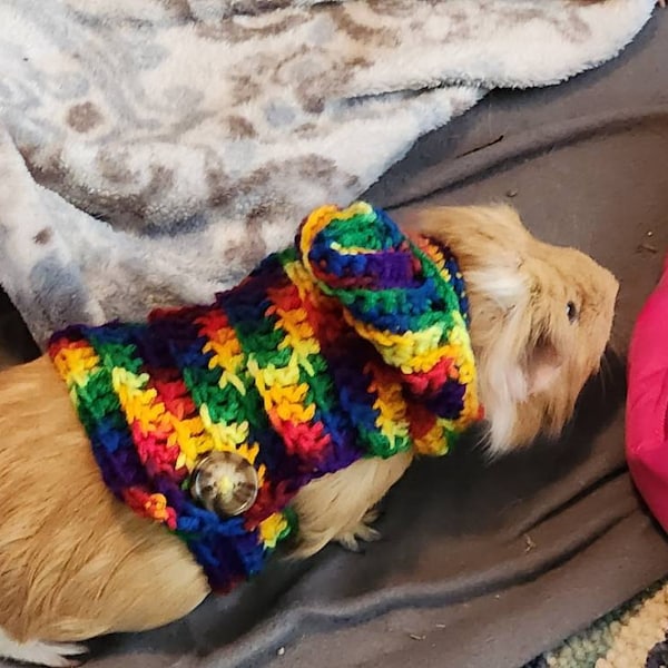 Crochet Pattern Guinea Pig Hoodie, Guinea Pig Clothes Pattern - Etsy