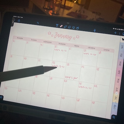 Digital Planner iPad Bundle, Goodnotes, Notability, Noteshelf, Undated ...