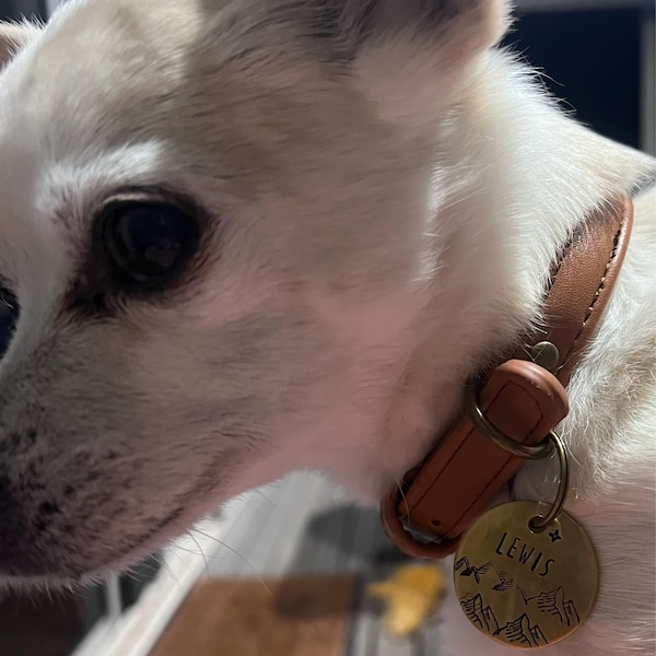 Personalised Pet ID | Custom Pet ID | Dog Name Tag | Pet ID Tag | Dog ...