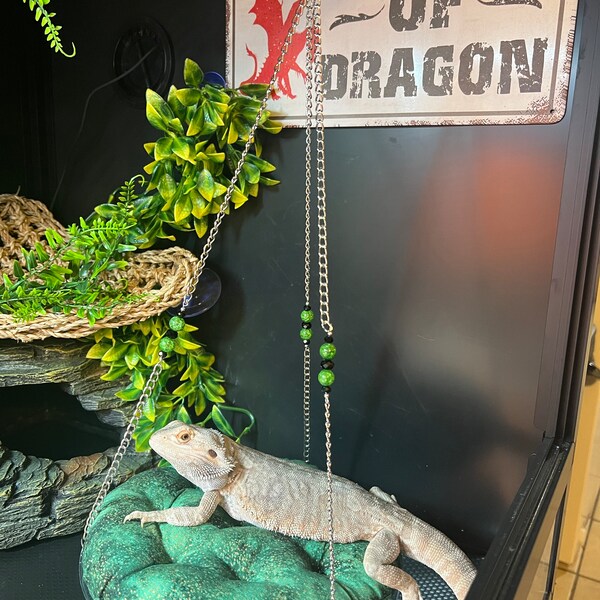 Bearded Dragon Lizard Pillow Swing; Papasan Style, Multiple Sizes ...