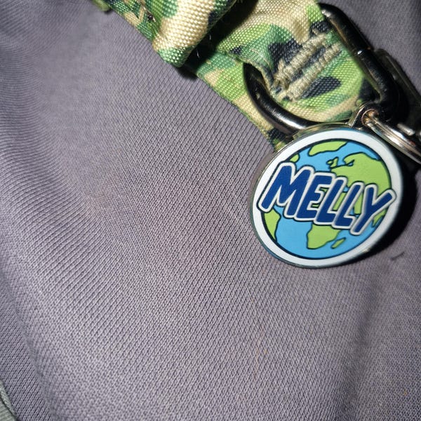 Cavapoo Christmas Ornament – Black & White Cavapoo Personalized Dog ...