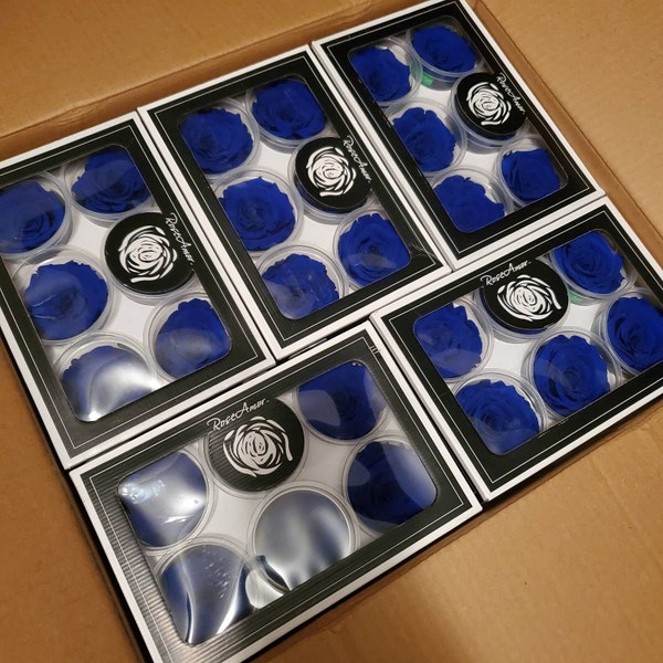 Wholesale XL Roseamor Ecuadorian Preserved Roses, High Quality PACK OF ...