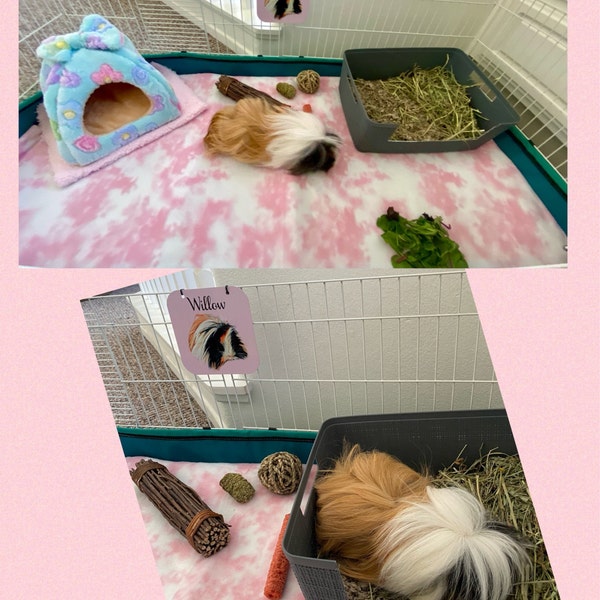 Guinea Pig Name Tag, Guinea Pig Accessories, Pet Tag, Guinea Pig ...