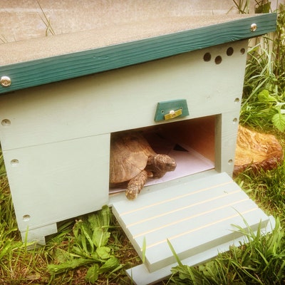 Tortoise House/lodge - Etsy UK