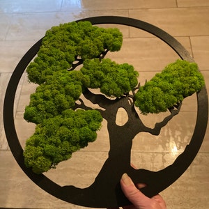 World Map With Moss, World Map With Reindeermoss on a Self-adhesive ...