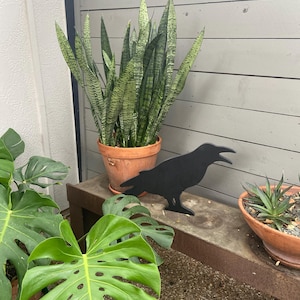 All-weather Plastic Ravens Set of 6 - Etsy
