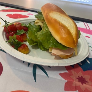 Plate of Fake Pancakes With Fruit - Etsy