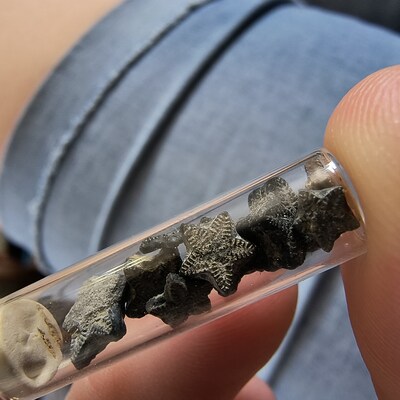 Black Deep Shadow Box Display Frame Ornate Baroque Style Corners Box ...