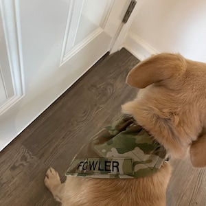 AKC Scent Work NOVICE Title Progression Tracking Sheet - Etsy