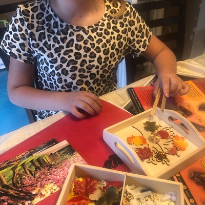 Honeycomb Bumblebee Counting Sensory Bin, Preschool Math, Montessori ...