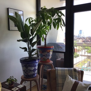 Monstera Multi Tiered Stand Plant Stand Multi Shelf Corner - Etsy