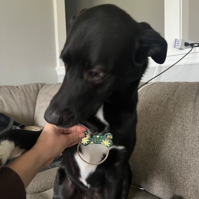 Nature Color by Number Adult Coloring Book 30 Digital Coloring Pages ...