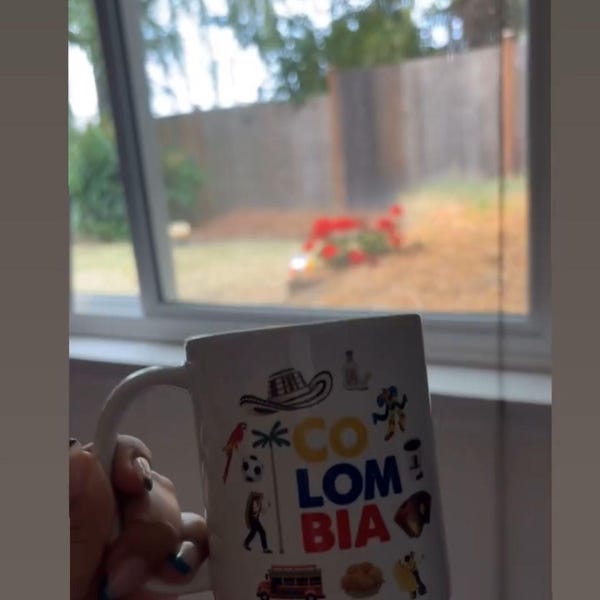 Colombian Traditions Mug, Colombian Designs Mug, Colombia Coffee Mug ...