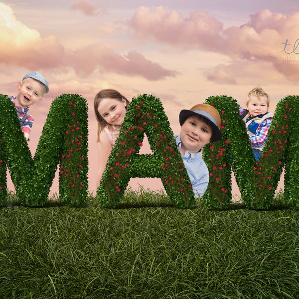 9 Box Photography Template, Collage for in the Box Photography, Inside ...