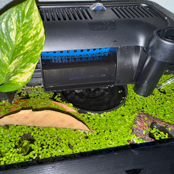 Universal Aquarium Filter Baffle for ALL HOB Filter Systems. Slow Down ...