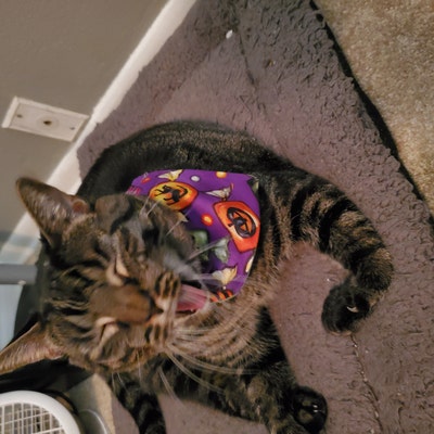 Inhaler Holder Crochet Pattern - Etsy