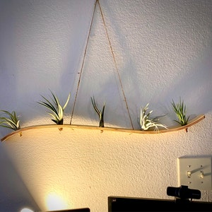 Wall Mount Diamond Planter With Saucer Geometric Wall - Etsy