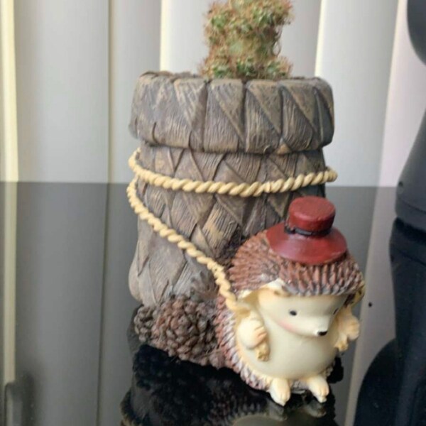 Cow Bull Ceramic Bonsai Pot Air Plants Succulent Animal Planter Home ...