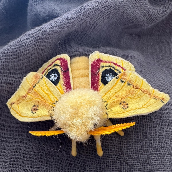Hercules Moth , Needle Felted, Moth Figurine, Decoration, Handmade ...