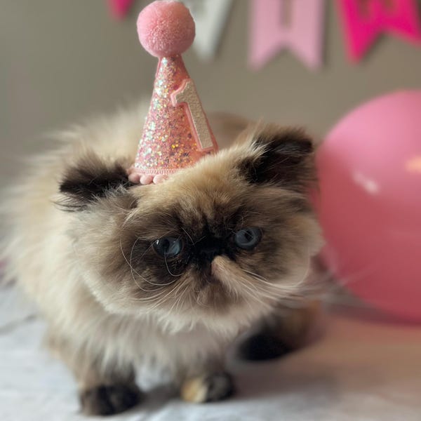 Tin Man Funnel Hat, Tin Man Costume, Tin Man Cosplay, Costume Accessory ...