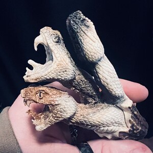 Human Skull Carving of Deer Antler, B - Etsy