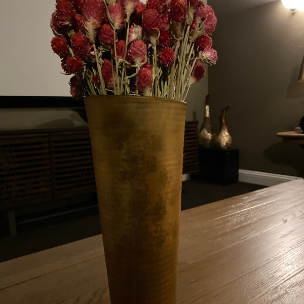 Cherry Red Globe Amaranth, Cherry Red Gomphrena, Globe Amaranth ...