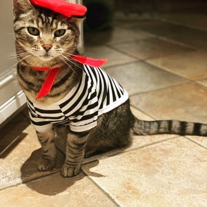Complete French Cat Outfit Cat Beret Ascot and Striped Shirt - Etsy