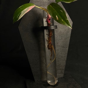 Baphomet Tree Ornament - Etsy