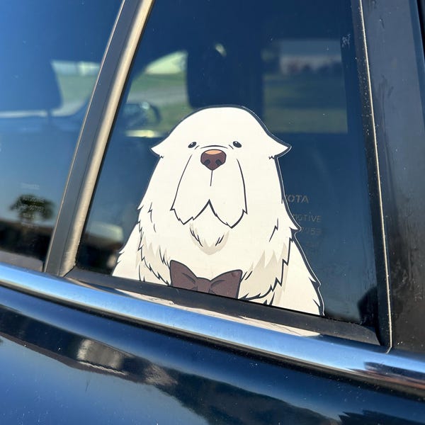 Bluey Peeker - Glossy White Cut Vinyl Car Decal - Multiple Sizes! - Etsy