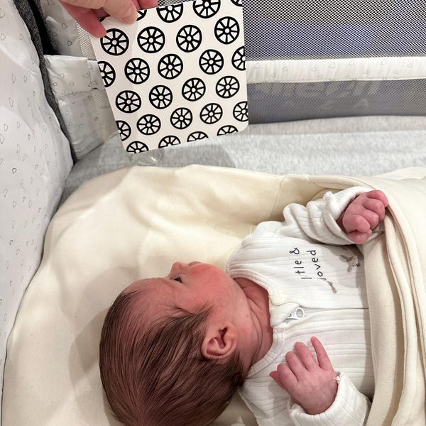 Little Book of Pasta Exploration of Italian Noodle Shapes Read Fun ...