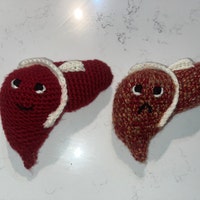 Crochet Anatomical Stomach- PDF PATTERN | Crochet Anatomy, Body Parts ...