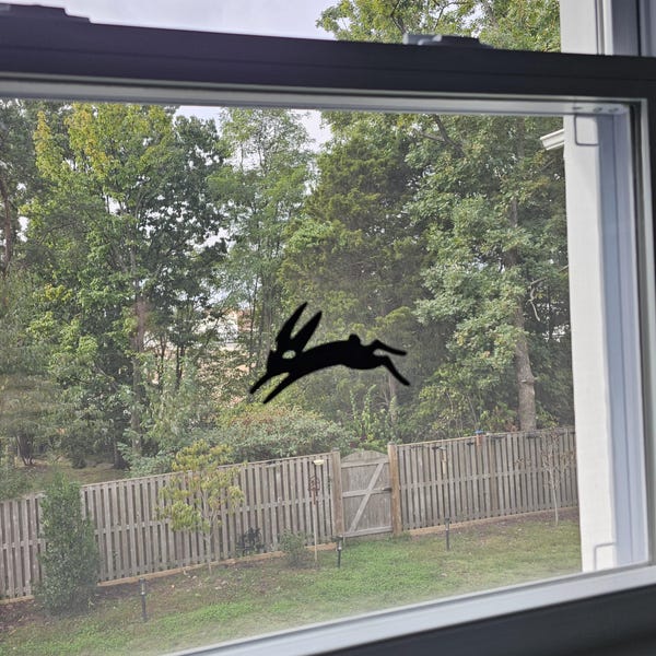 Axolotl Decal Never Grow Up, Forever Young, Amphibian, Salamander, Cute ...