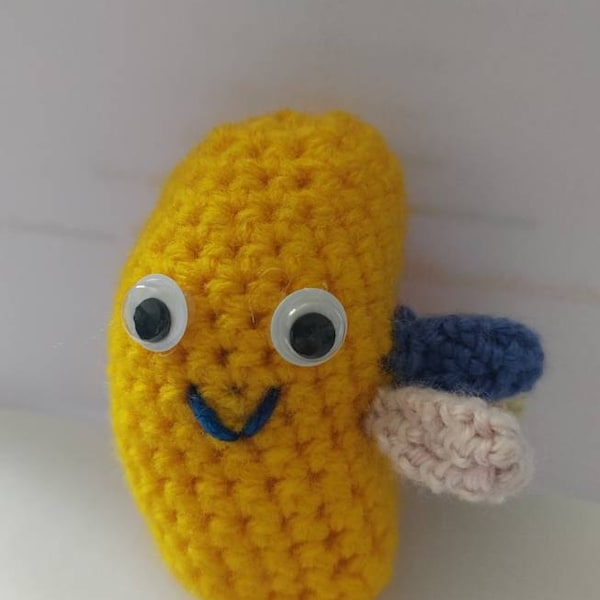 Kidney Keychain Crochet PATTERN ONLY! PDF Download Amigurumi Beginner ...
