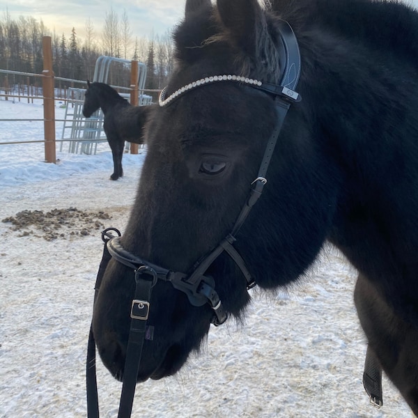 Noseband With Chain Lazypony, Handcrafted Cavesson With Chain, Metal ...