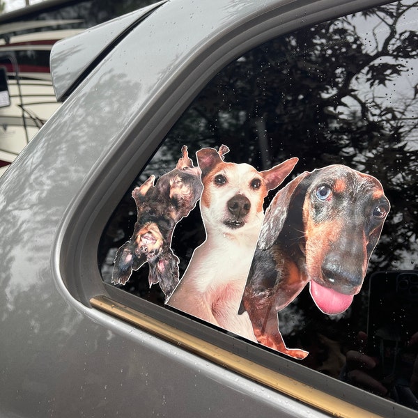 Pet Sticker Decal, Personalized Dog, Cat Any PET Sticker Decal, Custom ...