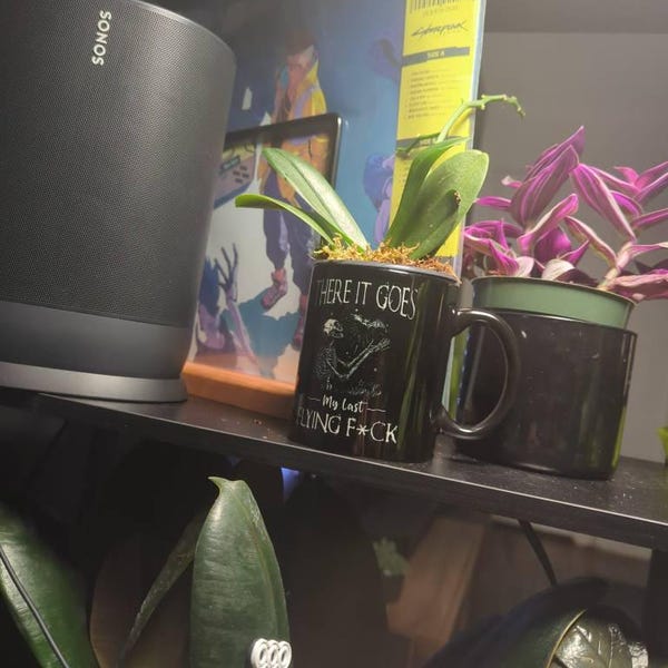 Gothic Unholy Goat Pentagram Unisex Shirt, Gothic Graphic T-shirt ...