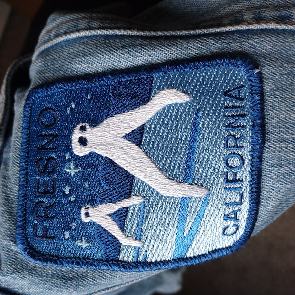 Sphinx Central NAZCA Ancient Astronaut Mission Patch Sphinx Ancient ...