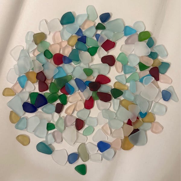 Psychedelic Knobbed Whelk Planter, Air Plant, Decoupage, Tie Dye, UV ...