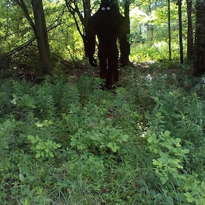Life-size Sasquatch/bigfoot *** DXF Digital Download *** - Etsy