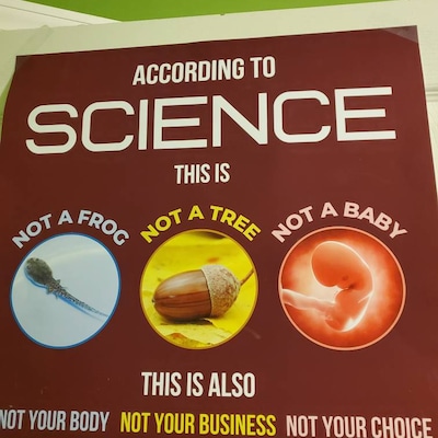 Warning You're in the Science Zone Digital Download - Etsy