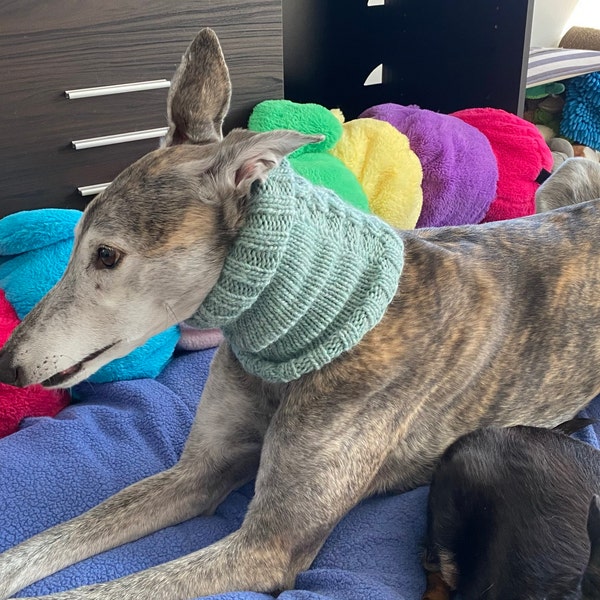Greyhound Snood. Med 2 Large Dog Winter Scarf Neck Ears Warmer. Galgo ...