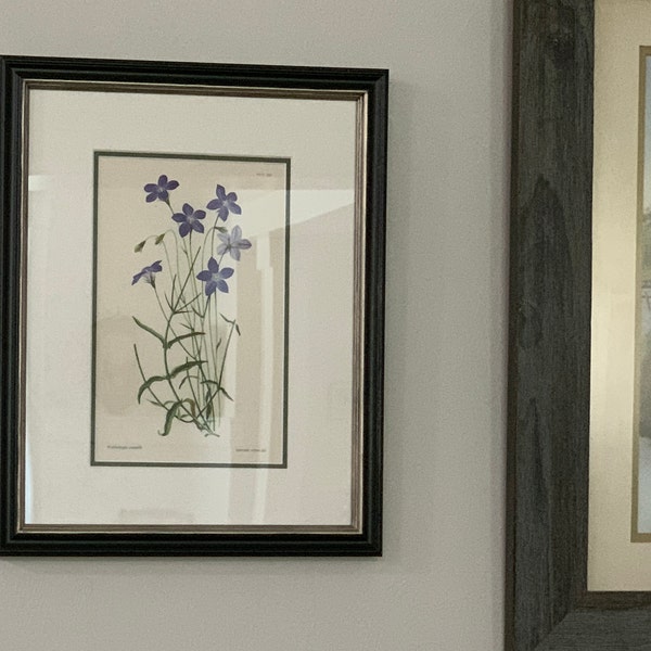 Gold Framed Botanical Prints, Set of 4, Vintage Original Wild Flower ...