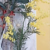 Wattle Spray, Mimosa Spray 85cmh Australian Native Artificial Flowers ...