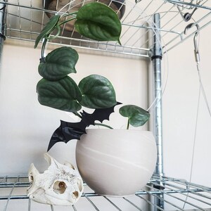 Chocolay River Upper Peninsula of Michigan Wooden Map - Etsy