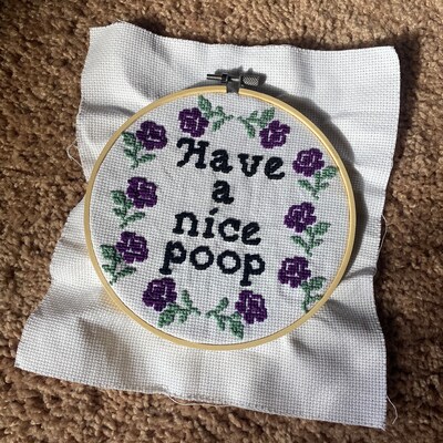 Have A Nice Poop Counted Cross Stitch Craft Kit Beginner Embroidery ...