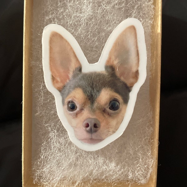 Custom Pet Pin | Personalized Dog Acrylic Brooch | Custom Cat Photo ...