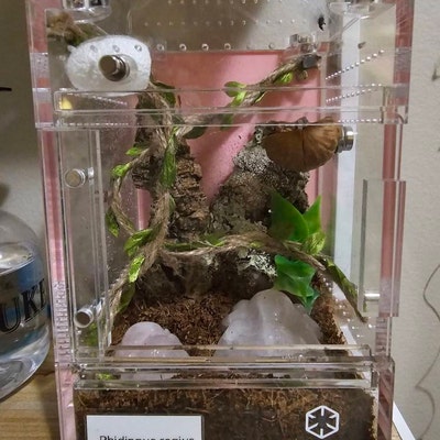 Betta/jumping Spider Tube Hide Aquarium Decor/enclosure Decor - Etsy Canada