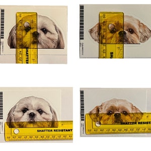 Peeking Panda Bear Car Decal Sticker / Kawaii Funny Panda - Etsy